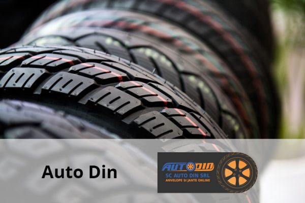 Auto Din - Client Senior Software | 450+ Implementari