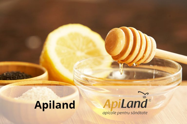 Apiland - Client Senior Software | 450+ Implementari