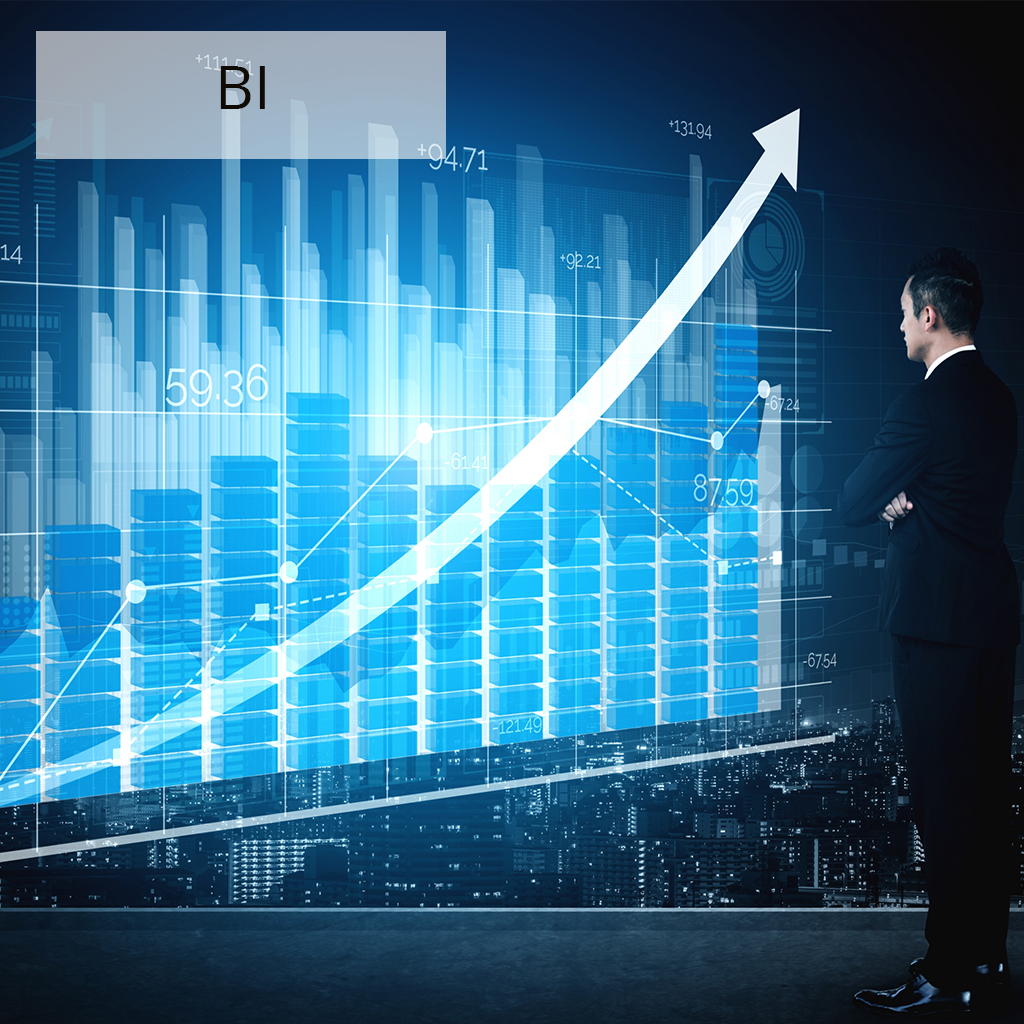 Senior Software offers ERP,BI,CRM,SFA,WMS,TMS systems