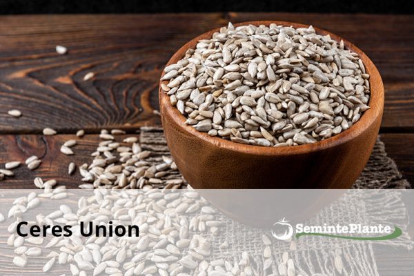 Ceres Union - Client Senior Software | 450+ Implementations