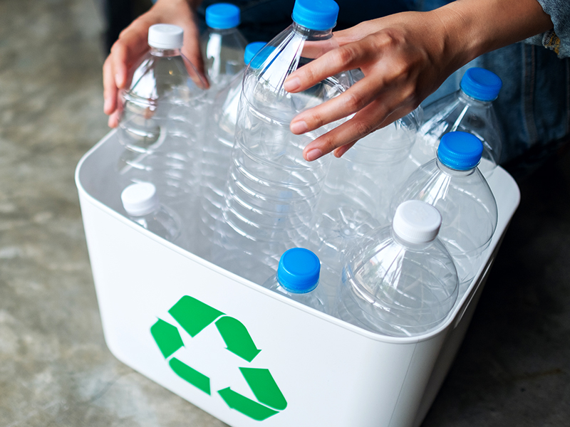 Sistemul de Garantie Returnare SGR in Romania. Senior Software